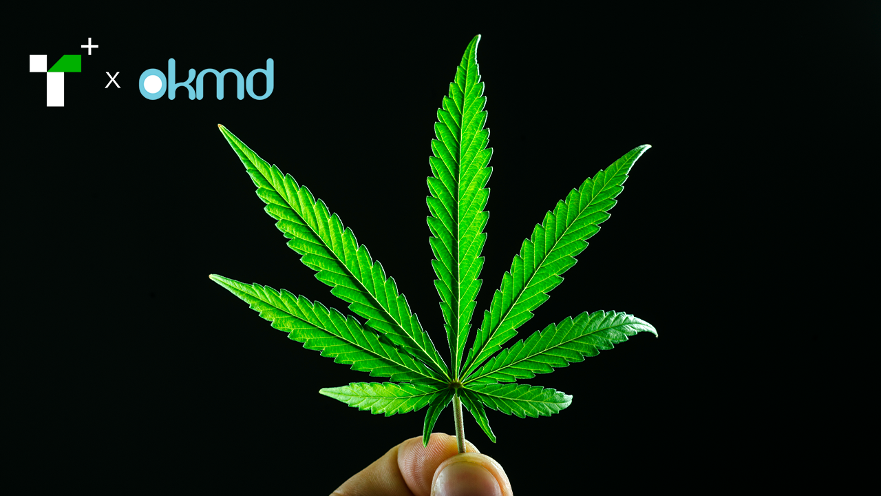 OKMD KNOWLEDGE PORTAL