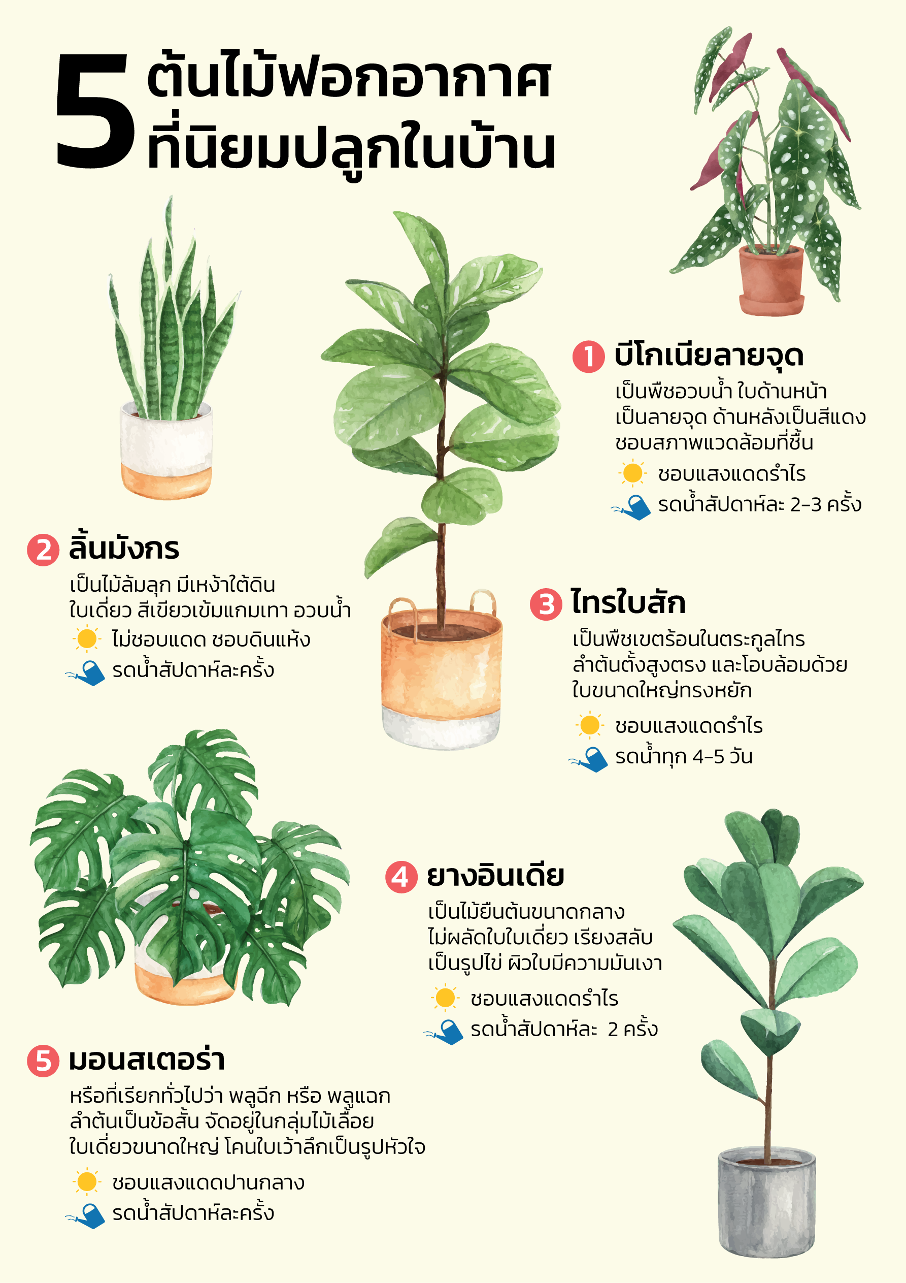 OKMD KNOWLEDGE PORTAL