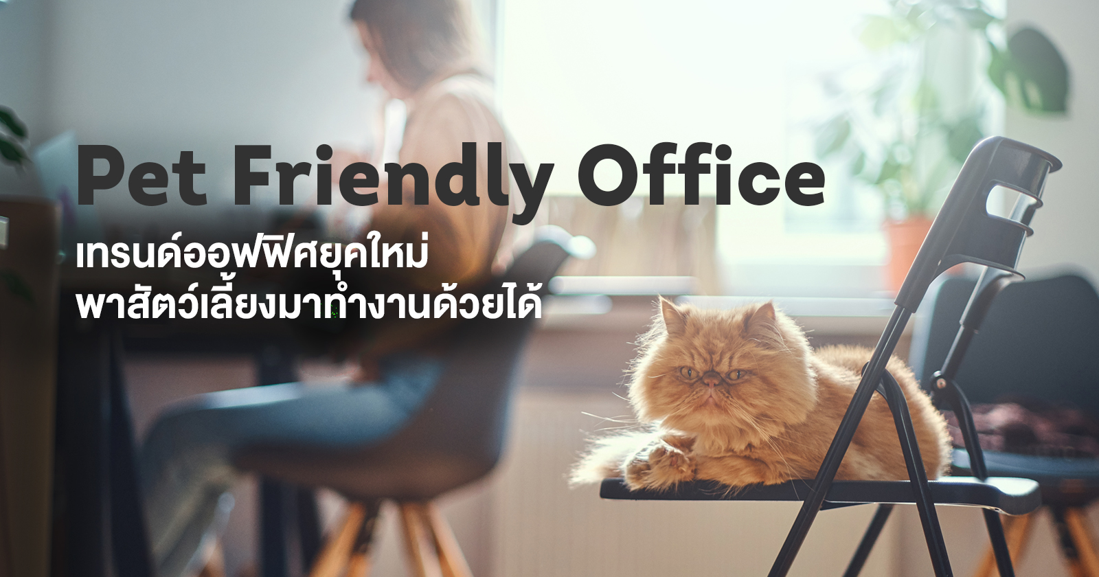 OKMD KNOWLEDGE PORTAL